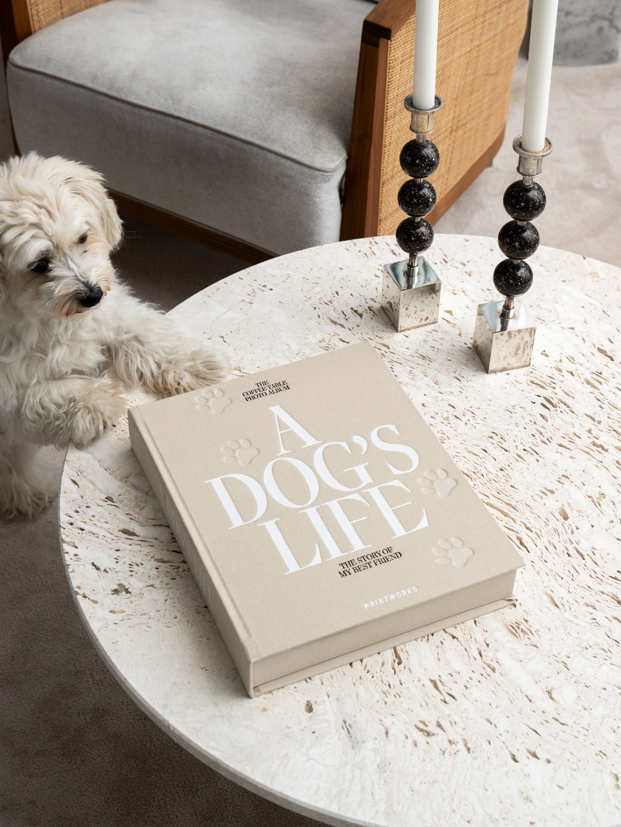 A Dog's Life